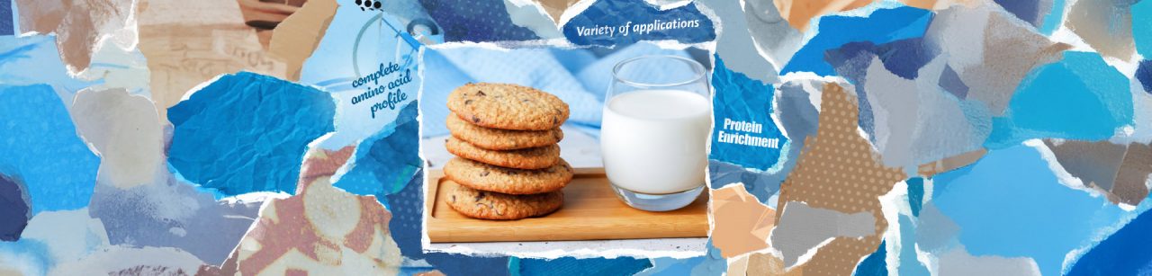 Protein enrichment with faba bean in dairy alternatives | BENEO